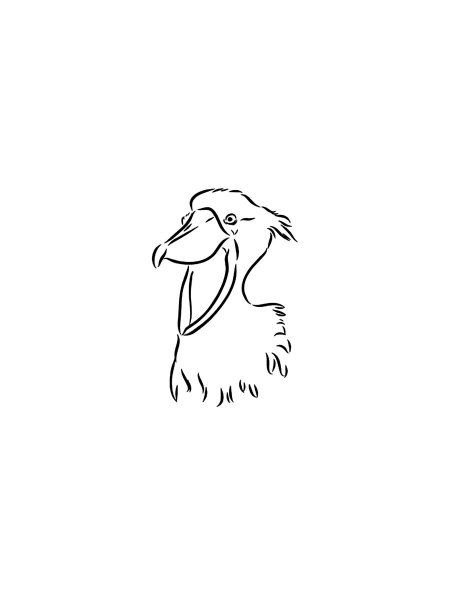 Shoebill coloring pages - Free Printable
