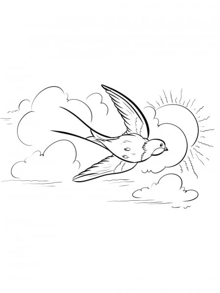 Swallow coloring pages