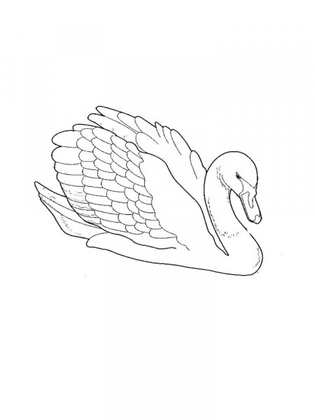 Swan coloring pages
