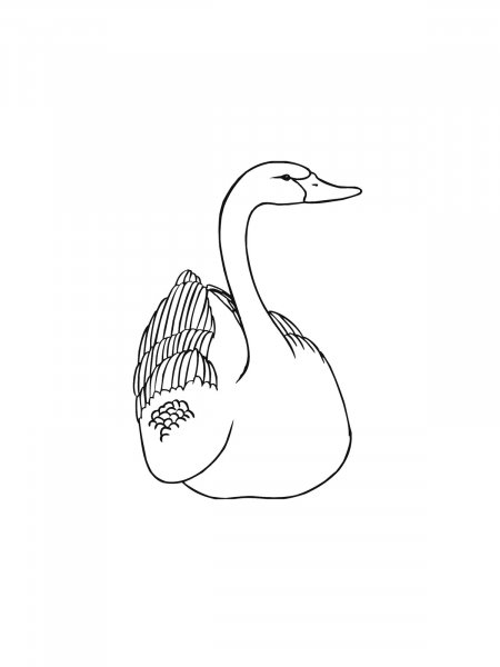 Swan coloring pages