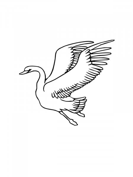 Swan coloring pages