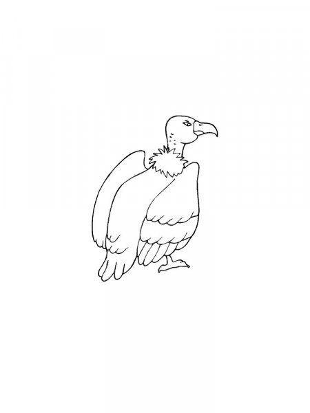 Vulture coloring pages