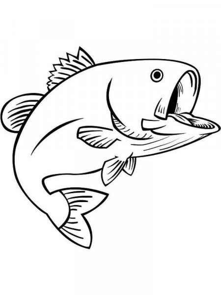 Bass fish coloring pages