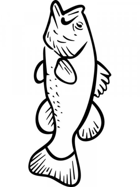 Bass fish coloring pages