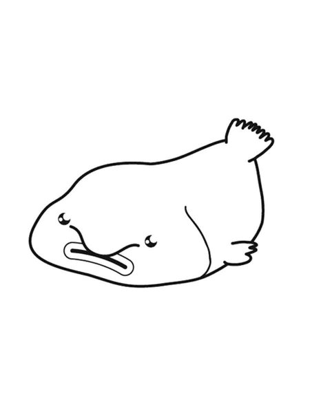 Blobfish coloring page