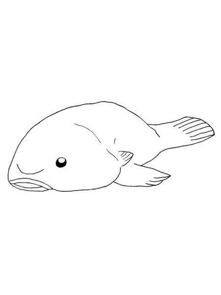 Blobfish coloring page