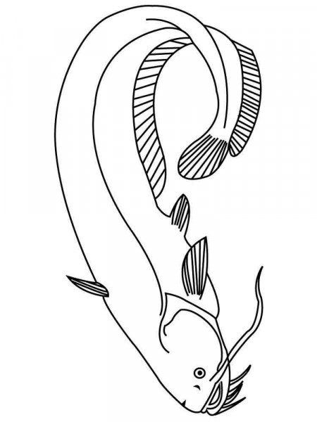 Catfish coloring pages