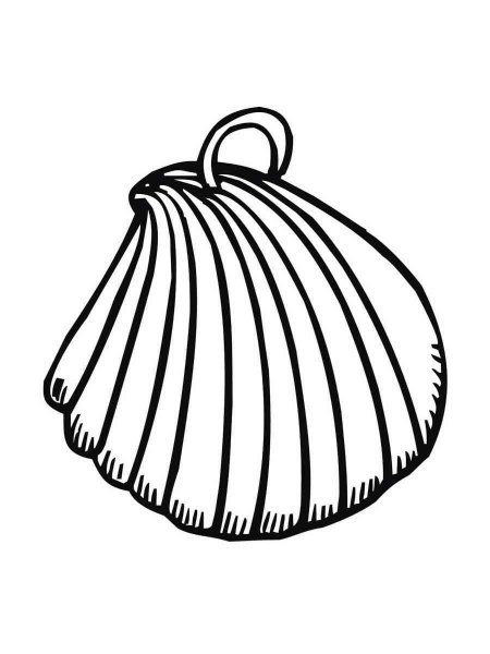 Clam coloring page