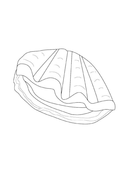 Clam coloring page - Free printable