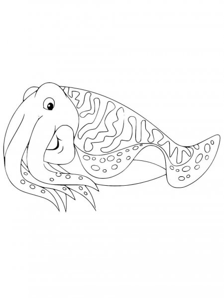 Cuttlefish coloring page