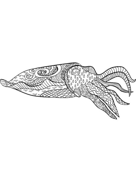 Cuttlefish coloring page
