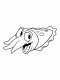 Cuttlefish coloring page