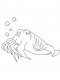 Cuttlefish coloring page