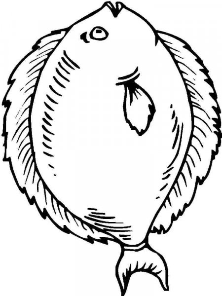 Flounder fish coloring pages