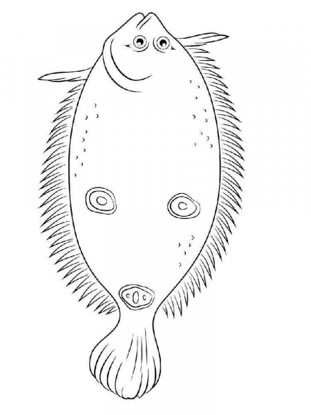 Flounder fish coloring pages