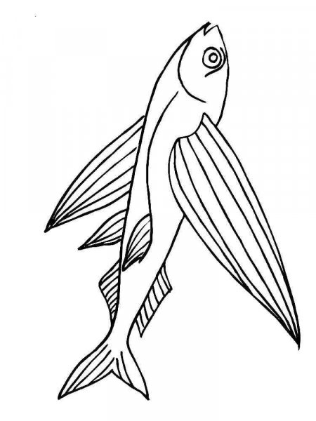 Flying fish coloring pages