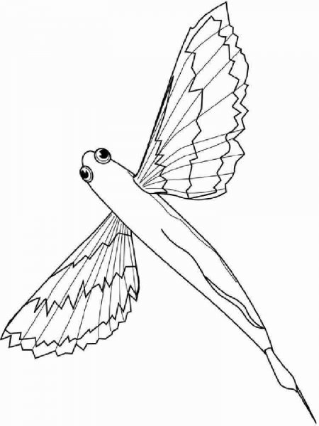 Flying fish coloring pages