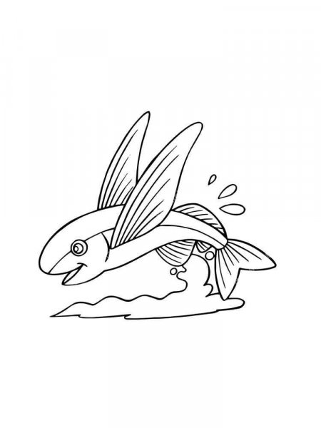 Flying fish coloring pages