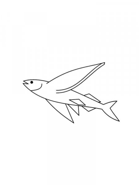 Flying fish coloring pages