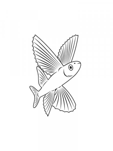 Flying fish coloring pages