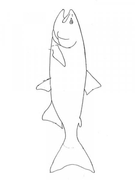 Mackerel coloring pages