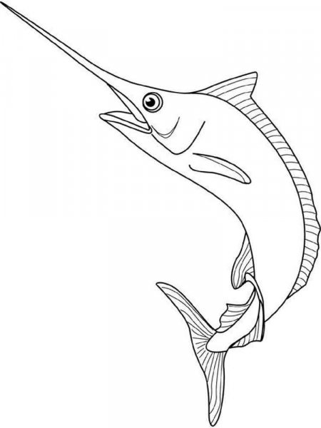 Marlin coloring pages