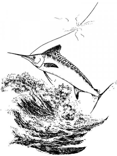 Marlin coloring pages