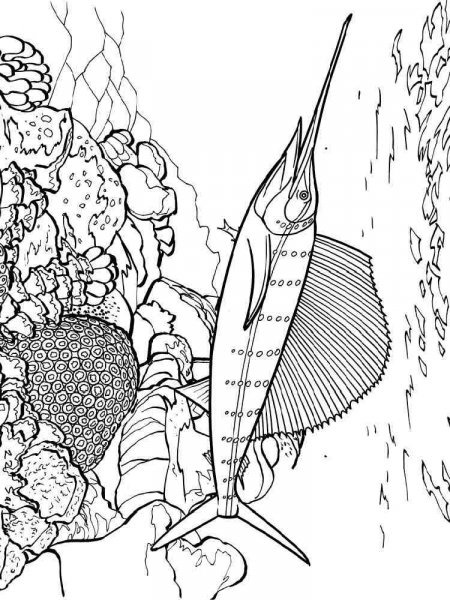 Marlin coloring pages