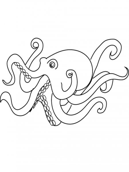 Mollusks coloring pages