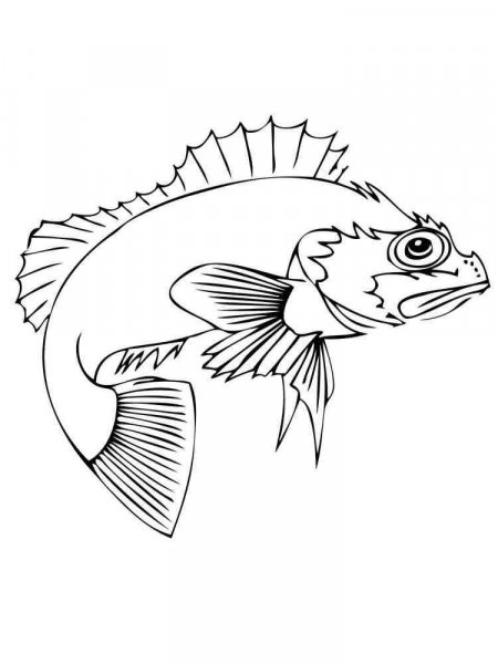 Perch coloring pages