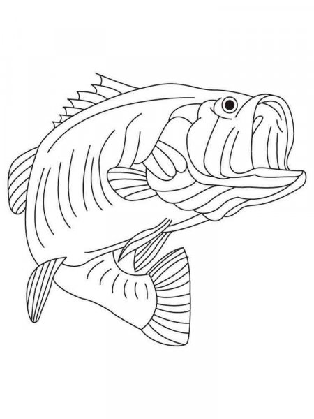 Perch coloring pages
