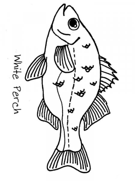 Perch coloring pages