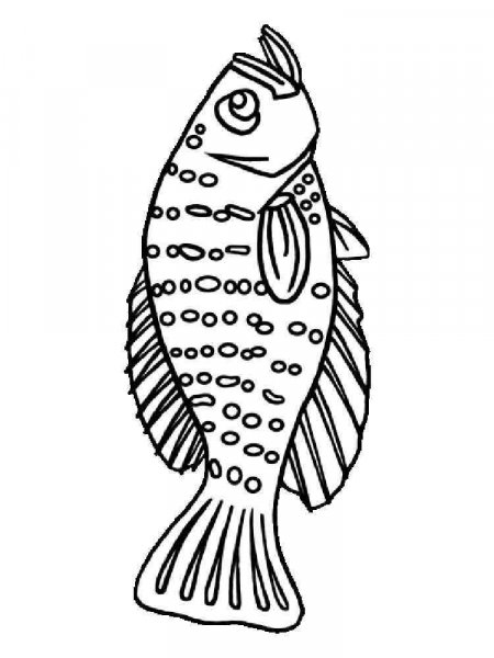 Perch coloring pages