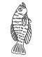 Perch coloring pages