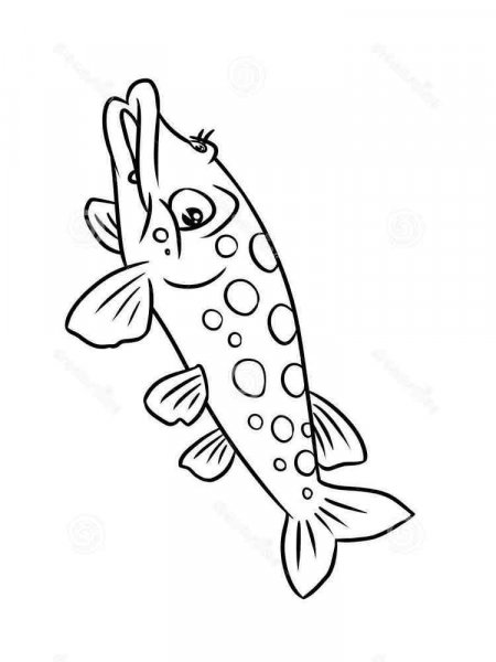 Pike coloring pages