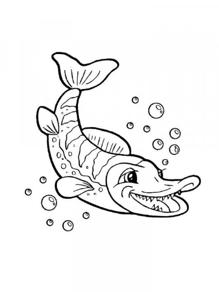 Pike coloring pages