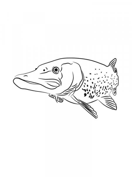 Pike coloring pages