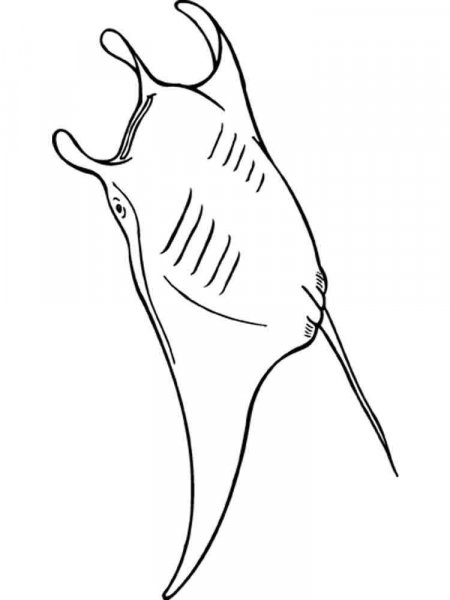 Stingray coloring pages