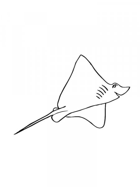 Stingray coloring pages