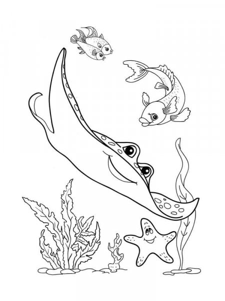 Stingray coloring pages