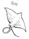 Stingray coloring pages