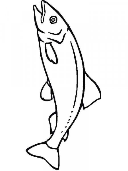 Salmon coloring pages
