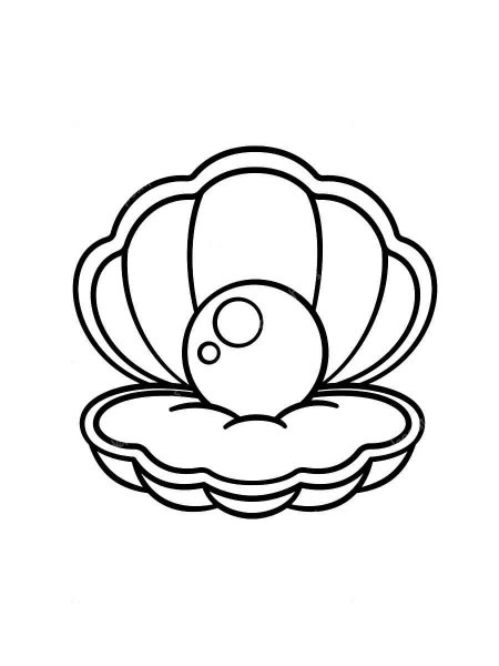 Scallop coloring pages