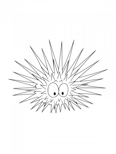 Sea Urchin coloring pages