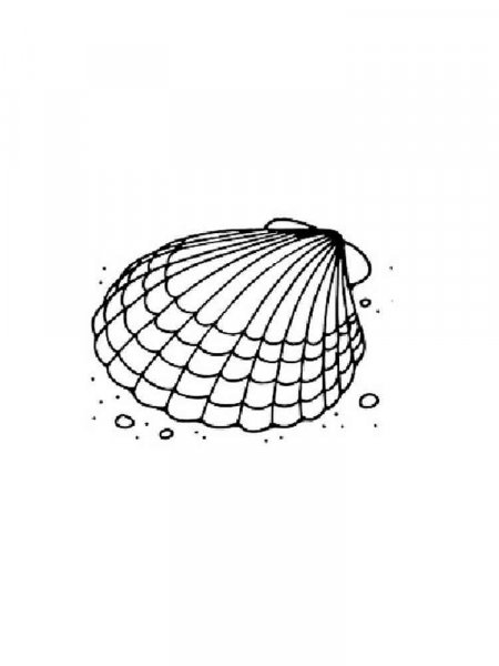 Seashell coloring pages