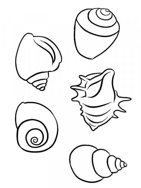 Seashell coloring pages