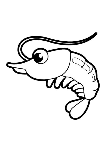 Shrimp coloring pages