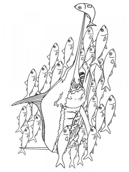 Swordfish coloring pages