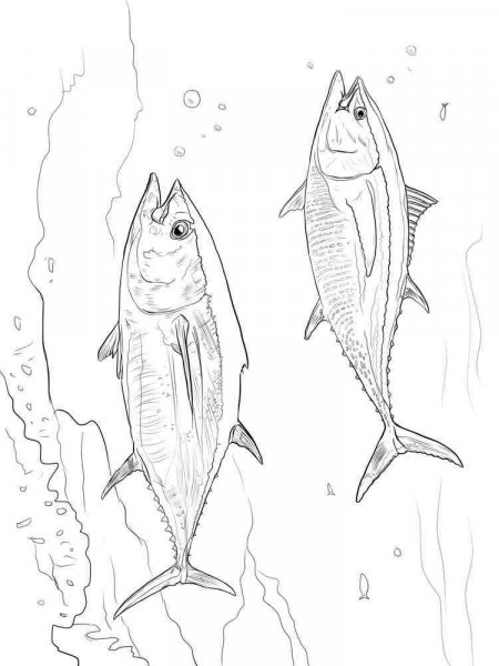 Tuna fish coloring pages