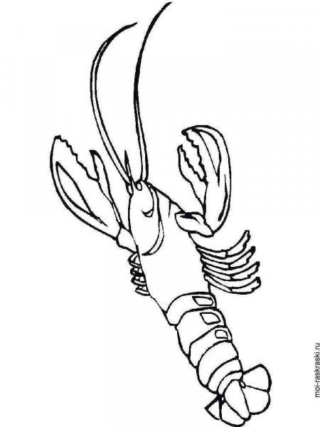 Crayfish coloring pages